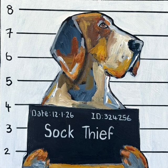 "Sock Thief" - original artwork by Karen Gray – Clayfire Gallery by ...